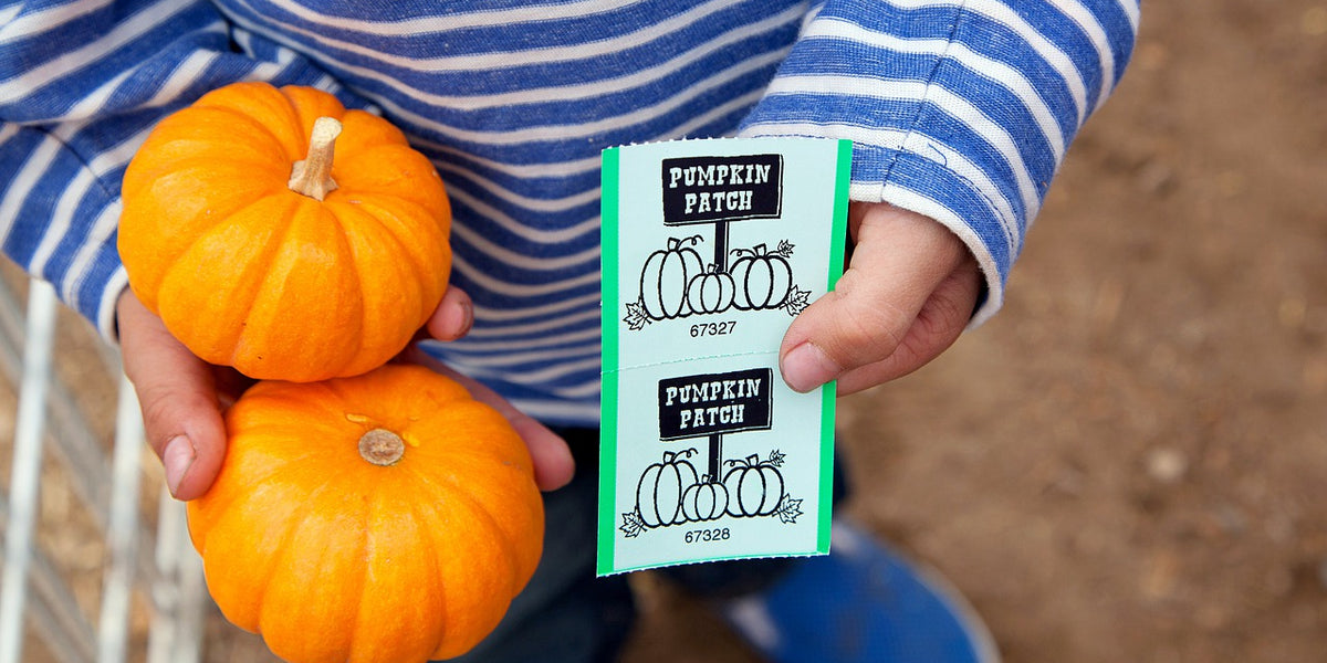 14 Creative Fall Fundraiser Ideas for Your School's PTO or PTA ...