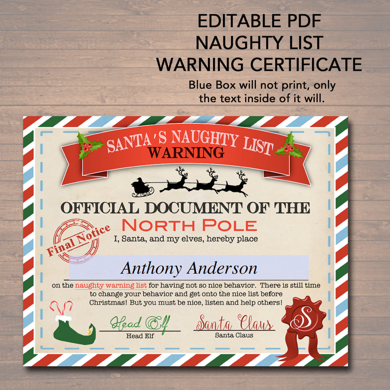 Nice/Naughty Certificates | TidyLady Printables
