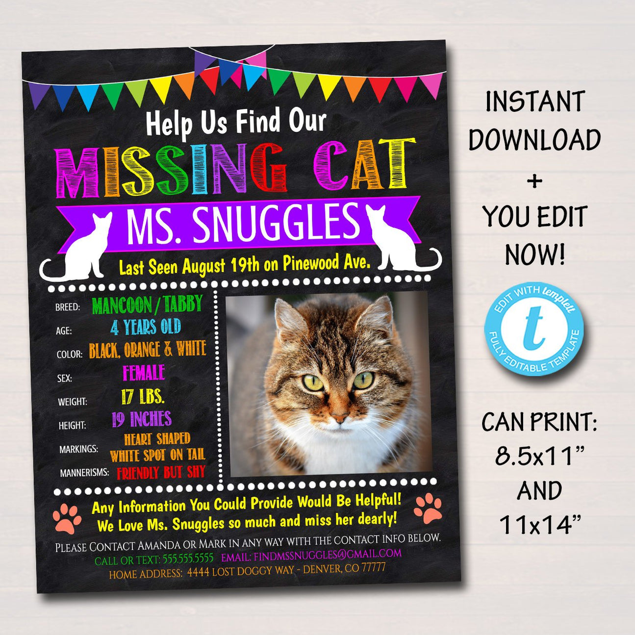 Missing Cat Flyer and Poster Template - Editable Template — TidyLady ...