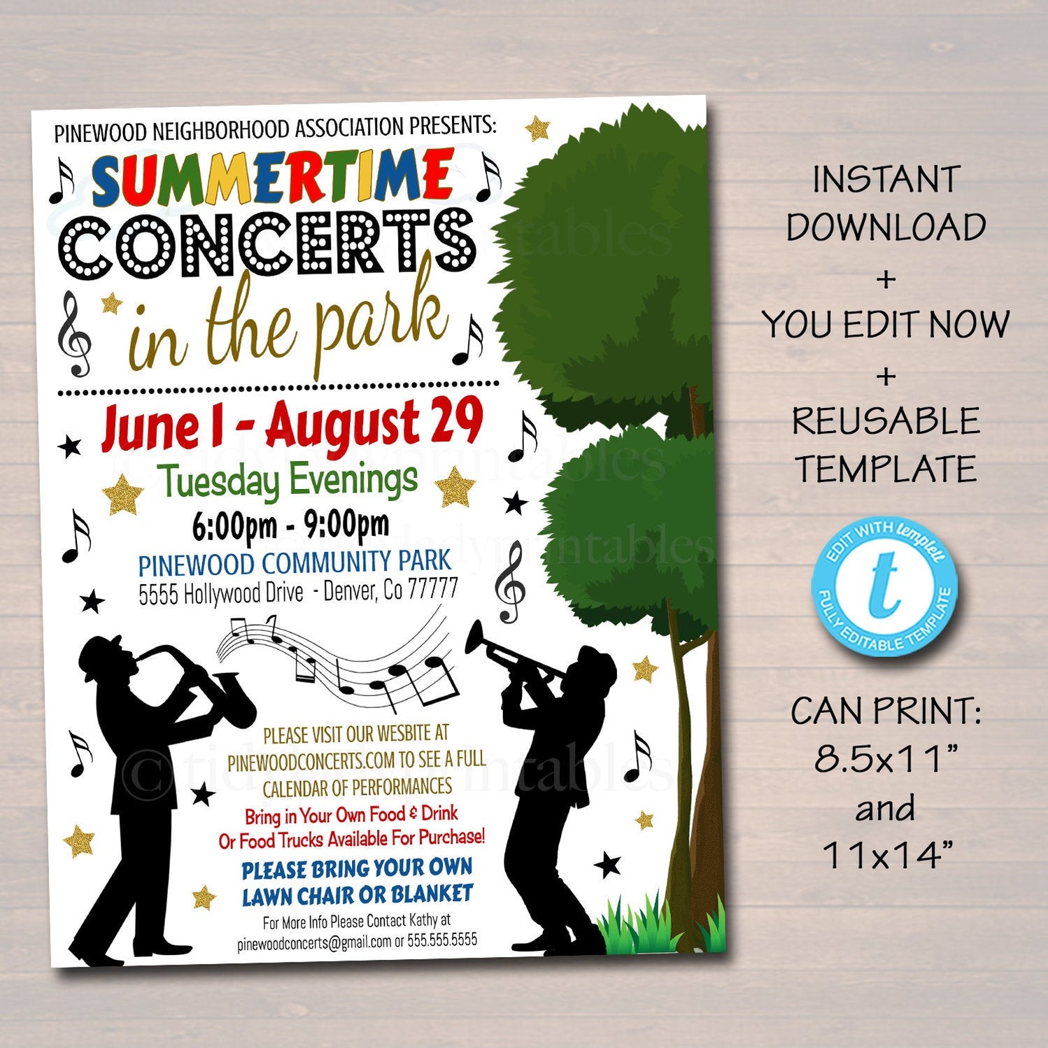 Concert in the Park Event Flyer | TidyLady Printables