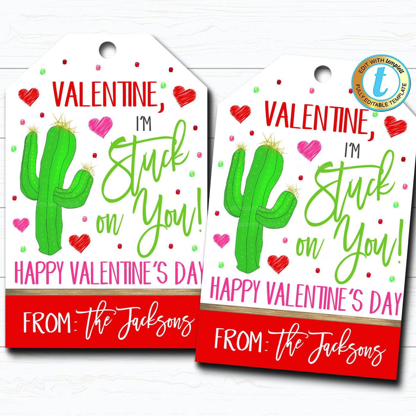 Valentine's Day Cactus Gift Tags | TidyLady Printables