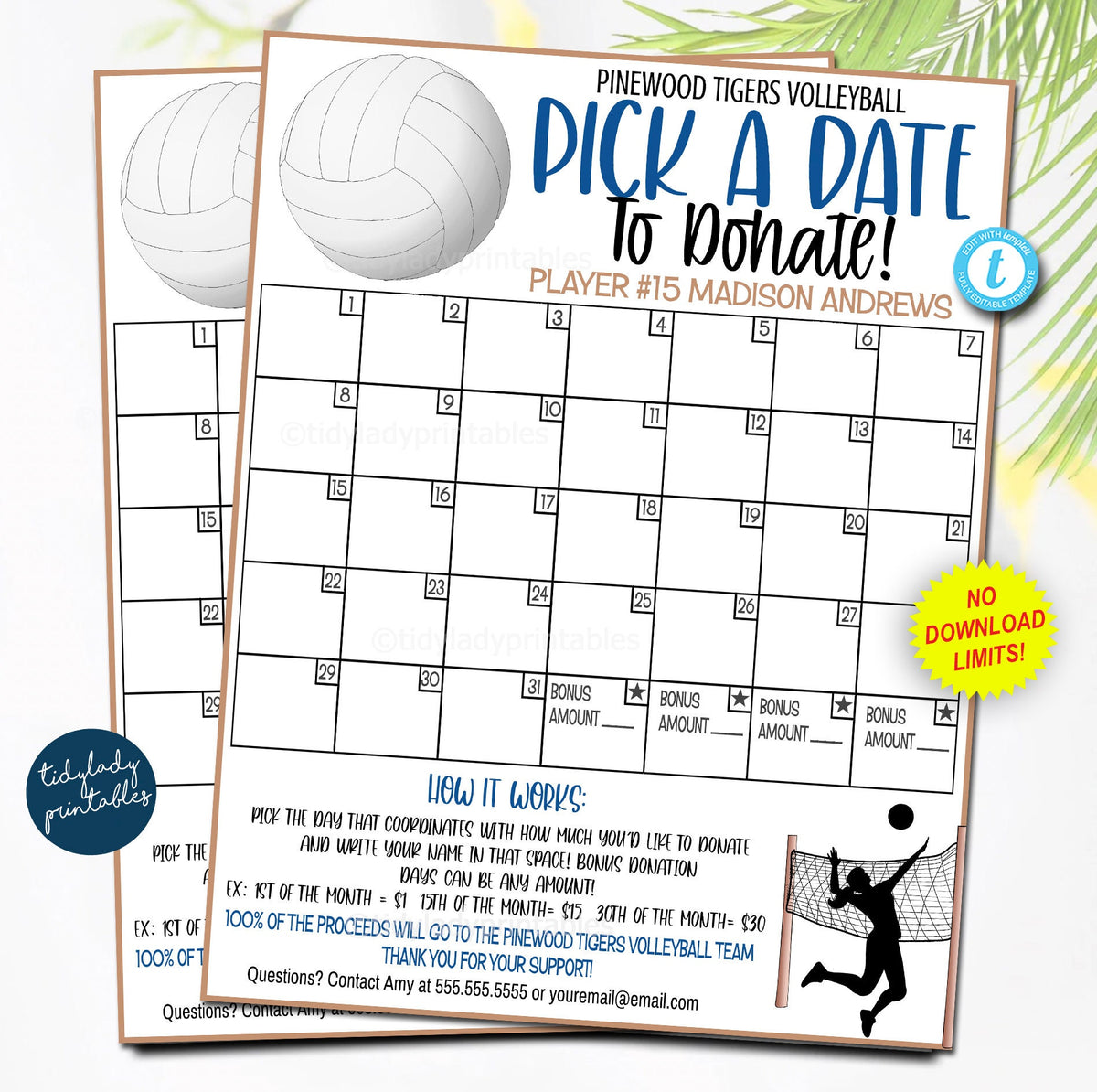 Volleyball Pick A Date To Donate Printable Flyer TidyLady Printables Volleyball Pick A Date To Donate Printable Flyer TidyLady Printables