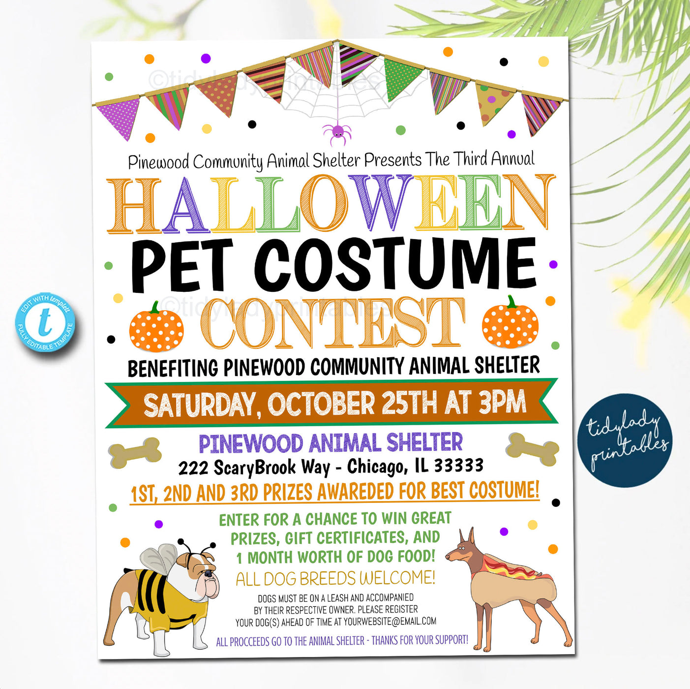 Halloween Pet Costume Contest Flyer | Animal Shelter Rescue — TidyLady ...