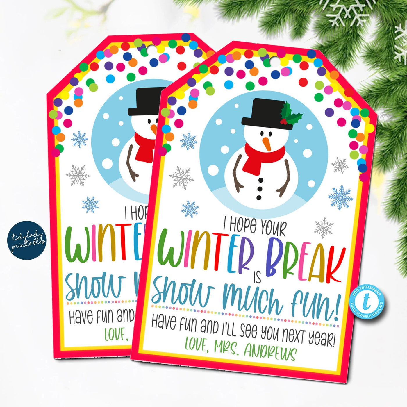 Hope your Winter Break is Snow Much Fun | Holiday Gift Tag — TidyLady ...