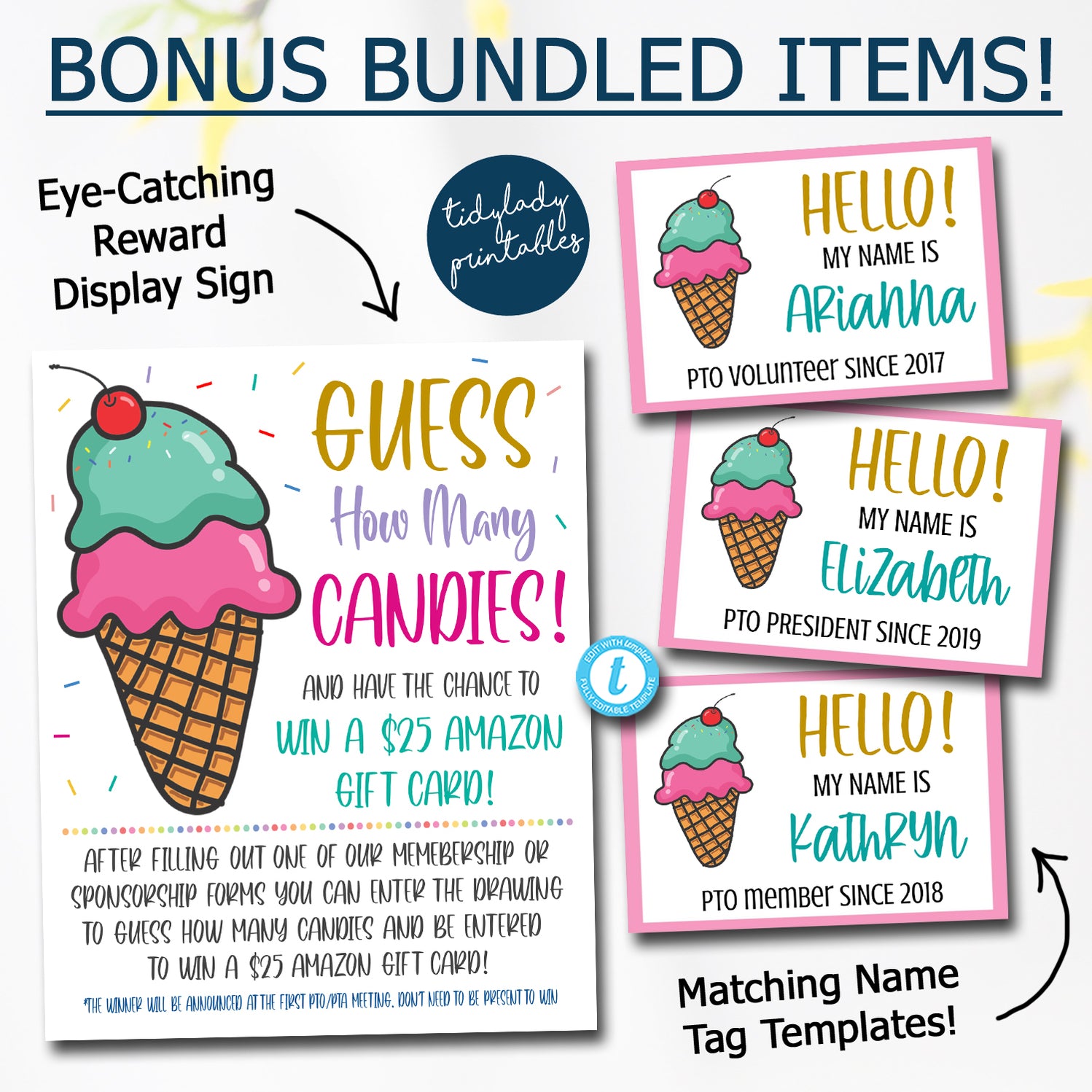 School Pto Volunteer Ice Cream Membership Sponsorship Drive — TidyLady ...