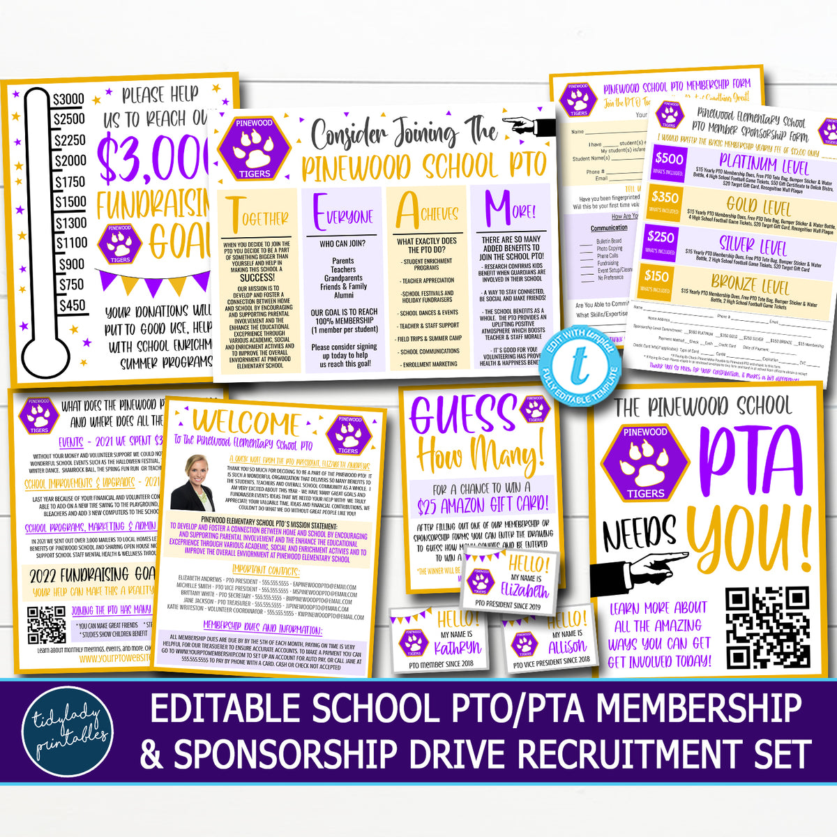 Back to School Pto Membership Sponsorship Drive Templates — TidyLady ...
